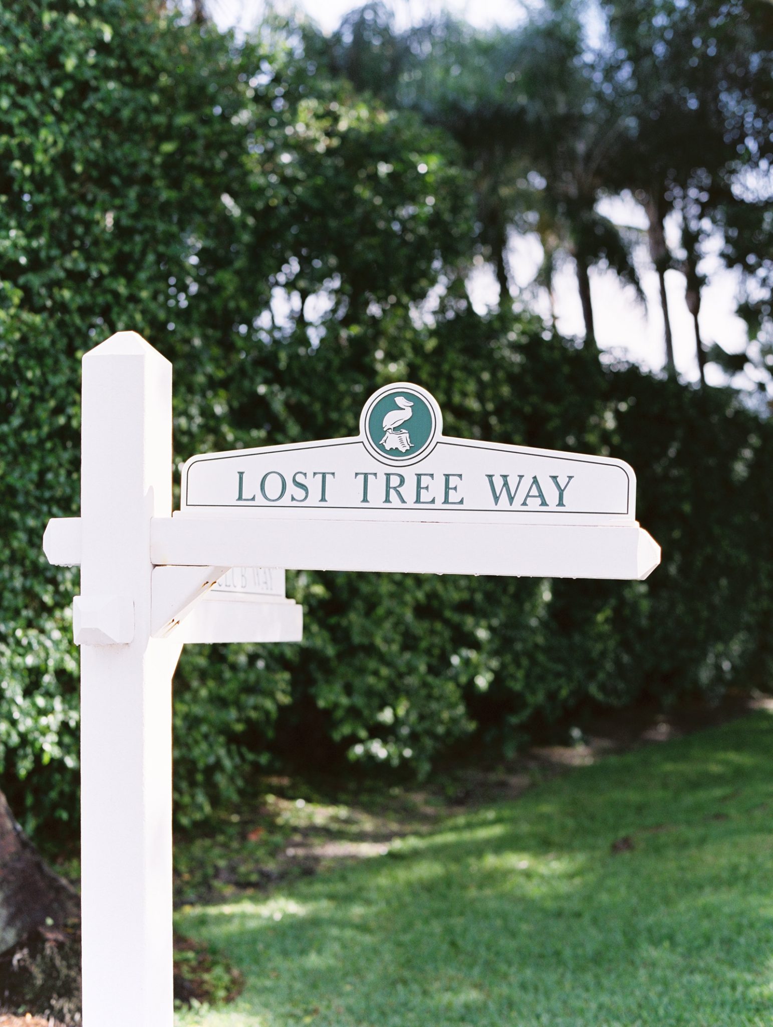 Palm Beach Wedding Photographer | Lost Tree Club Wedding ...